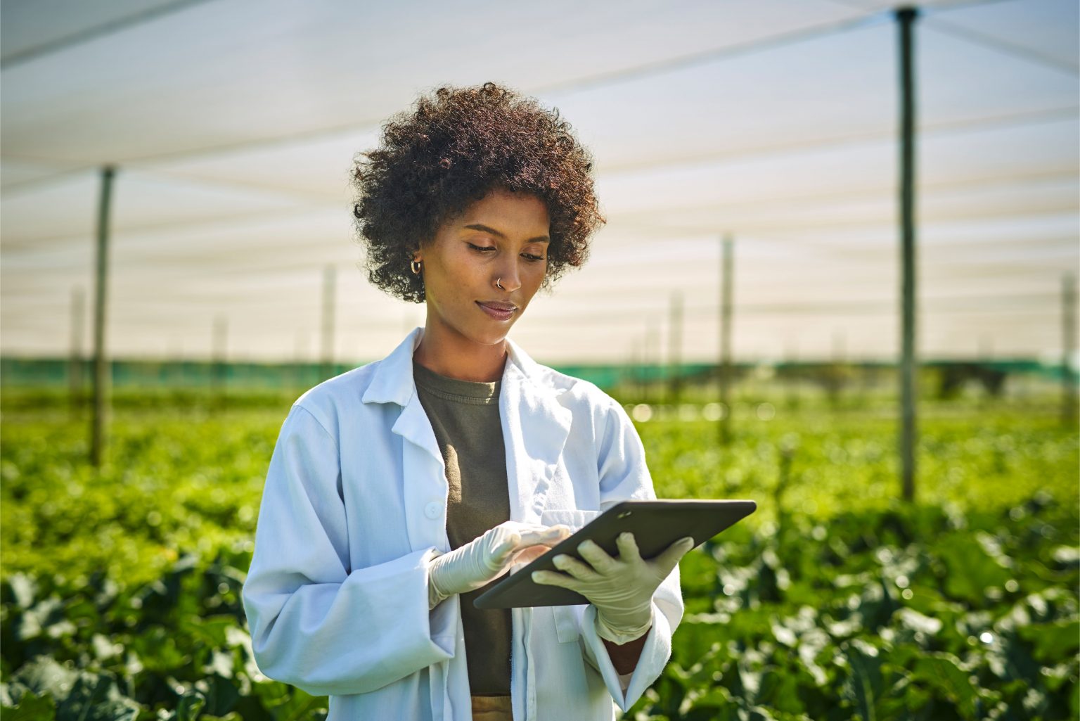 Agricultural skills framework: A guide to defining pathways for ...